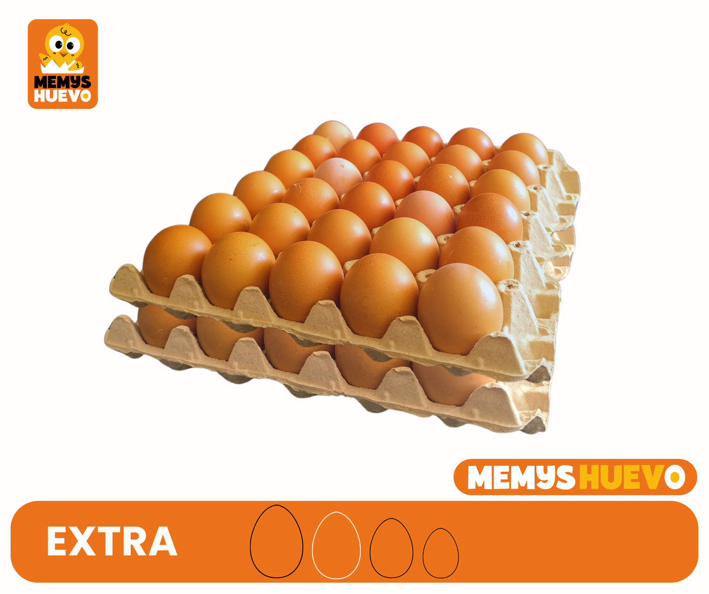 Huevos Extra Color 60 Unidades – MemysHuevo cl